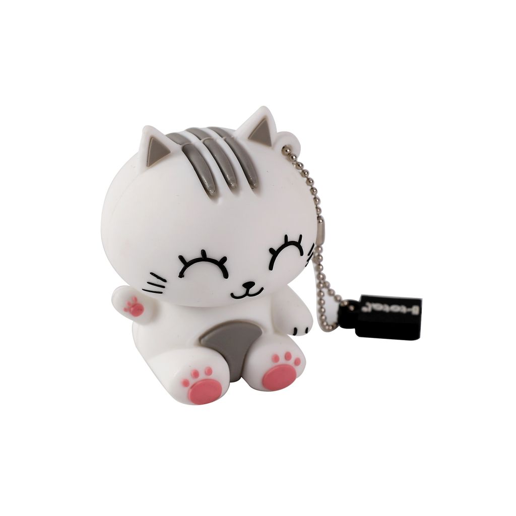 USB flash drive iTotal 32GB Cat assorted CM3424